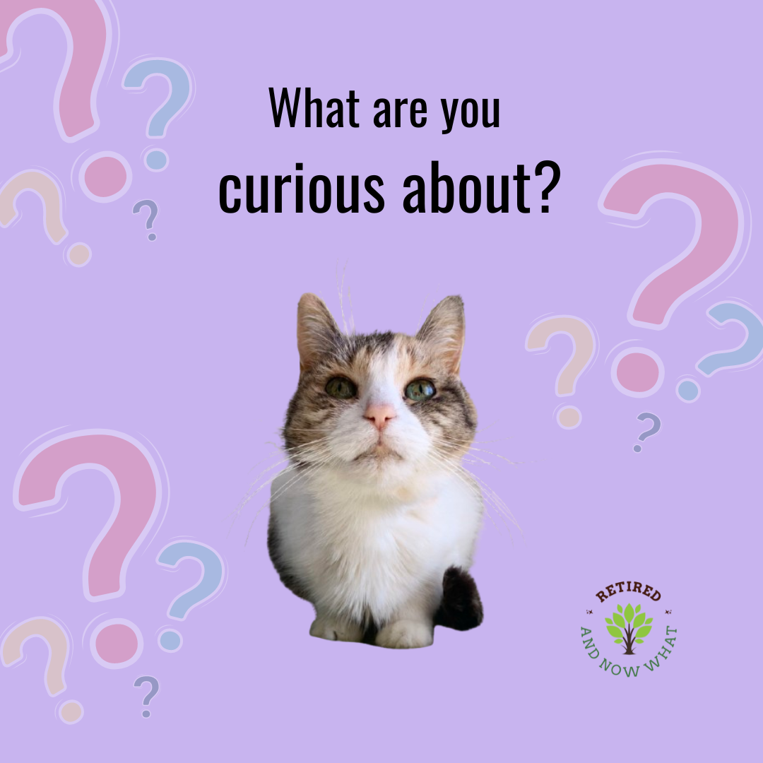 Keep Curiosity Alive – Retired, And Now What?